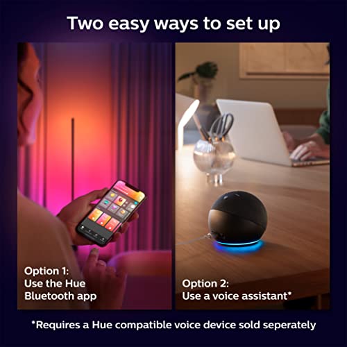 Philips Hue Gradient Signe Floor Lamp, Compatible with Alexa, Apple HomeKit and Google Assistant, Black