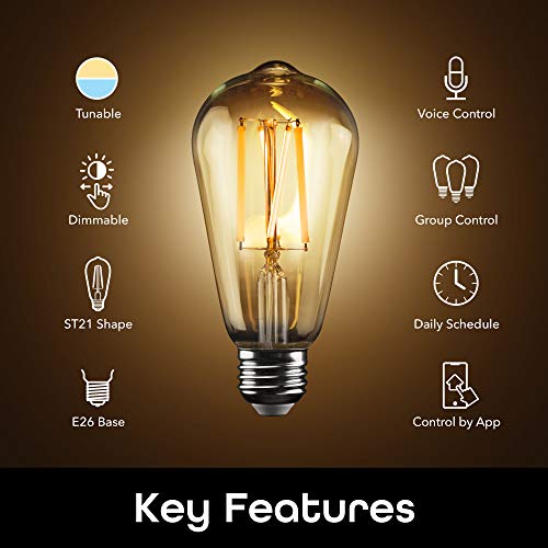 Geeni LUX Edison ST21 (ST64) Edison WiFi LED Smart Bulb, 2700K-6500K 8W, E26 Base, Dimmable, Tunable White Light, Works with Alexa & Google Home, 2 Pack