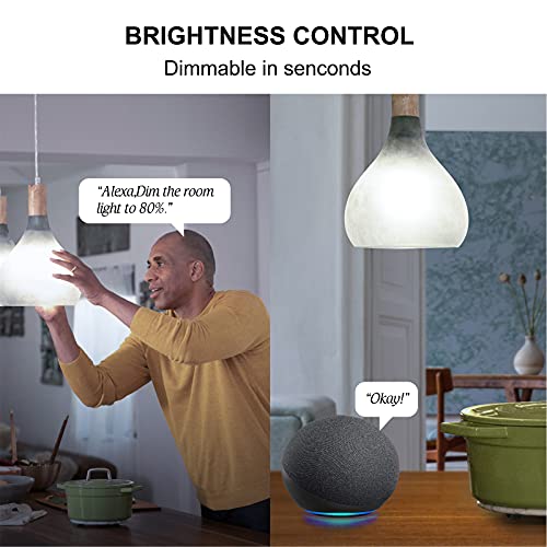 Sengled Smart Light Bulbs, WiFi Light Bulbs, Alexa Light Bulb, Smart Bulbs that Work with Alexa & Google Assistant, A19 Daylight (5000K) No Hub Required, 800LM 60W Equivalent High CRI>90, 2 Pack