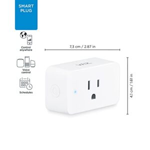 WiZ Connected WiFi Smart Plug, Compatible with Alexa and Google Home Assistant, White