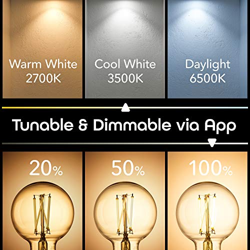 Geeni LUX Amber G25 Edison WiFi LED Smart Bulb, 2700K - 6500K 8W, E26 Base, Dimmable, Tunable White Light, Compatible with Amazon Alexa & Google Home - No Hub Required (Pack of 2)