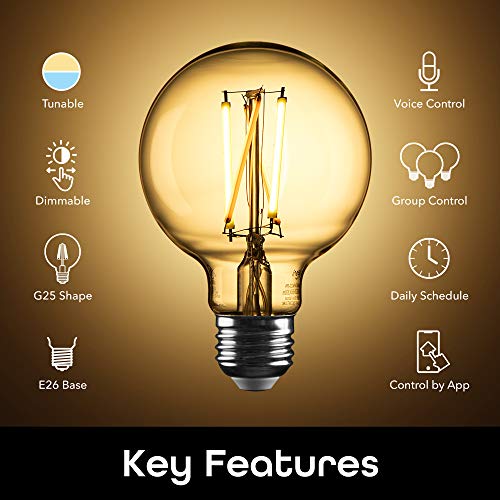 Geeni LUX Amber G25 Edison WiFi LED Smart Bulb, 2700K - 6500K 8W, E26 Base, Dimmable, Tunable White Light, Compatible with Amazon Alexa & Google Home - No Hub Required (Pack of 2)