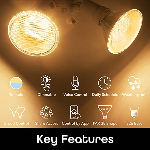 Geeni LUX Smart Floodlight, White – Outdoor 2700K-6500K Dimmable LED Bulb, E26, PAR38, 11W, 1000 Lumens – No Hub Needed - Compatible with Alexa, Google Home, Requires 2.4 GHz WiFi, 2 Pack