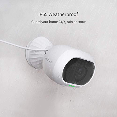 Security Camera Outdoor, blurams Cameras for Home Security 2-Way Audio, Starlight Night Vision, Facial Recognition, Siren, Weatherproof, Cloud/Local Storage, Works with Alexa& Google Assistant& IFTTT