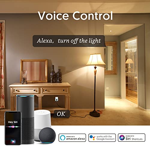 Smart Plugs That Work with Alexa Google Home Siri, Wireless 2.4G WiFi Outlet Controlled by Smart Life Tuya Avatar Controls APP, 10A Mini Socket Enchufe Inteligente with Timer, Round, 2 Pack