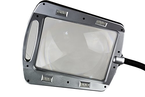 daylight24 402039-05 Full Page 8 x 10 Inch Magnifier LED Illuminated Floor Lamp, Silver