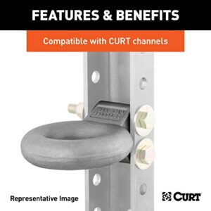 CURT 48660 Raw Steel Pintle Hitch Lunette Ring 3-Inch ID, 24,000 lbs, Channel Mount Required