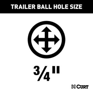 CURT 11652 Class 1 Fixed-Tongue Trailer Hitch with 3/4-Inch Trailer Ball Hole for Select Volkswagen Beetle, Superbeetle