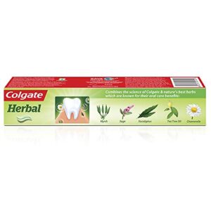 Colgate Herbal Toothpaste 7 oz