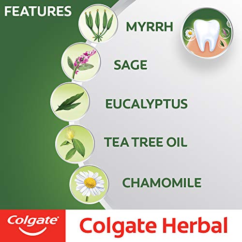 Colgate Herbal Toothpaste 7 oz