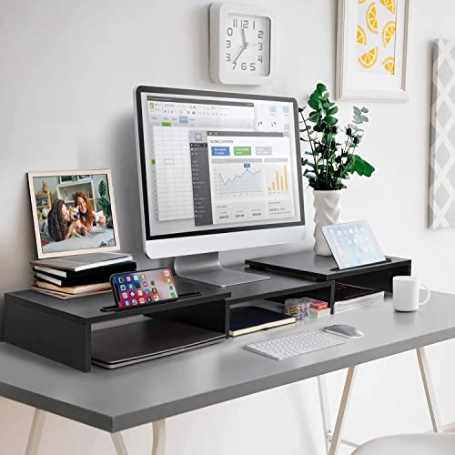 AMERIERGO Dual Monitor Stand -Adjustable Length and Angle, Dual Monitor Riser, Computer Monitor Stand w/2 Slot, Desktop Organizer, Monitor Stand Riser for PC, Computer, Laptop (Black)