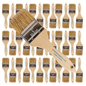 pro grade – chip paint brushes – 36 ea 2 inch chip paint brush