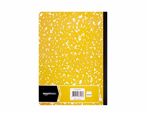 Amazon Basics College Ruled Composition Notebook, 100 Sheet, Assorted Marble Colors, 4-Pack