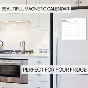 Beautiful 2023 Magnetic Fridge Calendar - Runs Until July 2024 - The Perfect Monthly Calendar With Greenery Designs for Easy Organizing