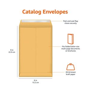 Amazon Basics Catalog Mailing Envelopes, Peel & Seal, 6x9 Inch, Brown Kraft, 100-Pack