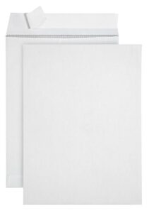 100 9 x 12 self seal security catalog envelopes – designed for secure mailing – securely holds up to 60 sheets of paper with strong peel and seal flap (100 envelopes)