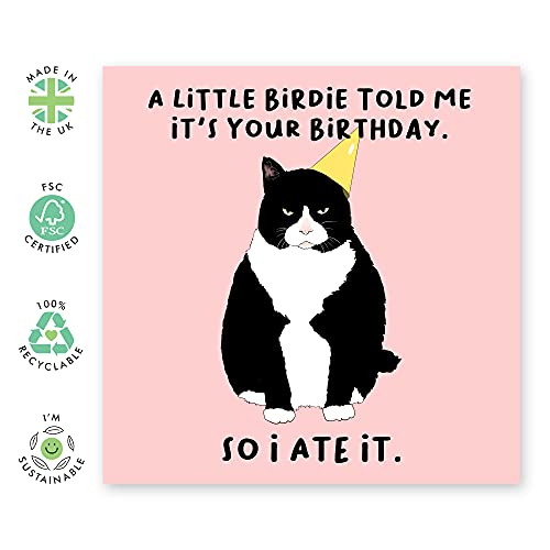 Central 23 - Funny Birthday Card - "A Little Birdie Told Me It's Your Birthday So I Ate It" - Cat Birthday Card - Comes With Fun Stickers