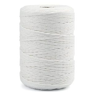 200m (218 yard) 12-ply cotton twine string,cooking kitchen twine string craft string baker twine for tying homemade meat,making sausage,diy craft and gardening applications (natural white)