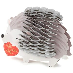 Hallmark Paper Wonder Pop Up Valentines Day Card (Honeycomb Hedgehog)