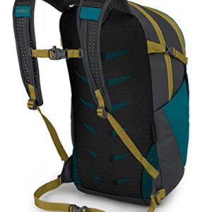 Osprey Daylite Plus Daypack, Deep Peyto Green/Tunnel Vision, One Size