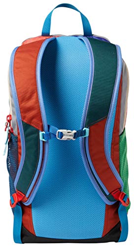 Cotopaxi Bogota 20L Backpack - Del Dia - One of A Kind!