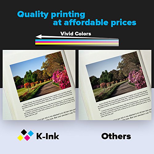 K-Ink Compatible Printer Ink Cartridge Replacement for Canon PGI-250 CLI-251 PGI 250 CLI 251 XL (12 Pack - 2 Large Black, 2 Small Black, 2 Cyan, 2 Yellow, 2 Magenta, 2 Gray)