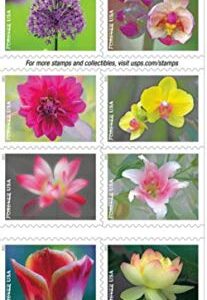 USPS Garden Beauty Forever Postage Stamps Book of 20 self-stick First Class Wedding Celebration Anniversary Flower Party (20 Stamps)