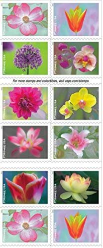 USPS Garden Beauty Forever Postage Stamps Book of 20 self-stick First Class Wedding Celebration Anniversary Flower Party (20 Stamps)