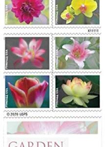 USPS Garden Beauty Forever Postage Stamps Book of 20 self-stick First Class Wedding Celebration Anniversary Flower Party (20 Stamps)