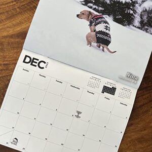 Pooping Pooches White Elephant Gag Gift Calendar