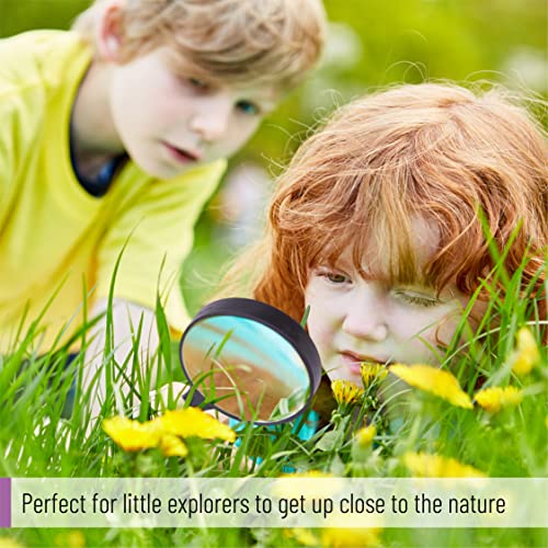 Mr. Pen- Magnifying Glass, 2 Pack, 10X Magnifier, 75mm Glass Lens, Magnifying Glass for Kids and Adults, Handheld Magnifying Glass, Magnifier for Reading, Magnifying Glasses for Close Work