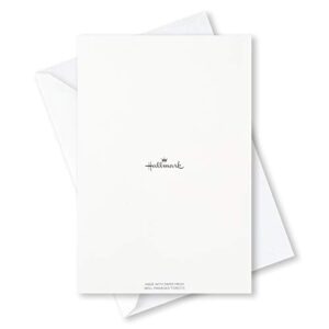 Hallmark Assorted Thinking of You, Get Well, Sympathy Cards (12 Cards with Envelopes) Nature Prints