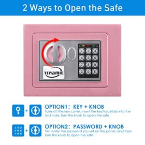 TENAMIC Safe Box 0.23 Cubic Feet Electronic Digital Security Box, Keypad Lock Box Cabinet Safes, Solid Alloy Steel Office Hotel Home Safe, Pink