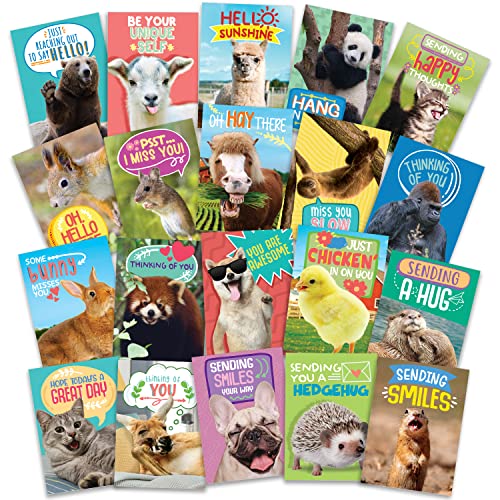 T MARIE 40 Funny Animal Postcards - Bulk Thinking of You Postcard Pack for Kids, Students, Friends, Teacher and More - Say Hello, Thank You or I Miss You with Cute Note Cards