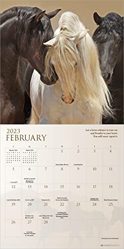 Spirit Horses 2023 Wall Calendar by Tony Stromberg | 12" x 24" Open | Amber Lotus Publishing