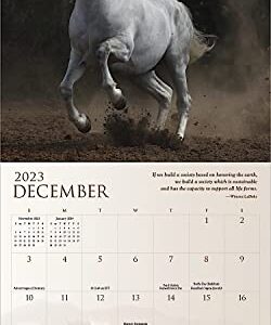 Spirit Horses 2023 Wall Calendar by Tony Stromberg | 12" x 24" Open | Amber Lotus Publishing