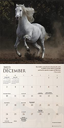 Spirit Horses 2023 Wall Calendar by Tony Stromberg | 12" x 24" Open | Amber Lotus Publishing