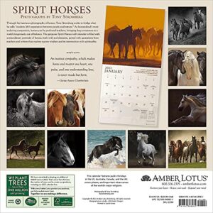 Spirit Horses 2023 Wall Calendar by Tony Stromberg | 12" x 24" Open | Amber Lotus Publishing