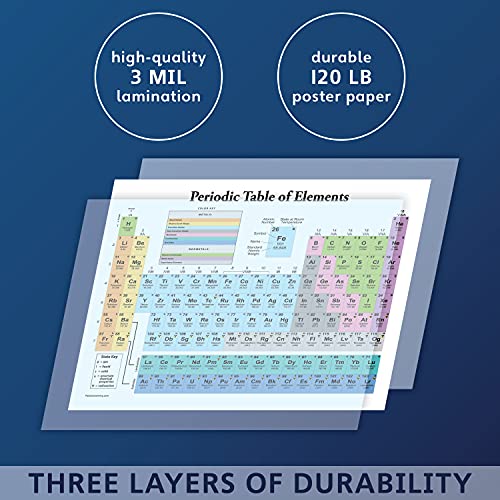 Palace Learning Periodic Table of the Elements Poster [White] - Science & Chemistry Classroom Chart (LAMINATED, 18" x 24")