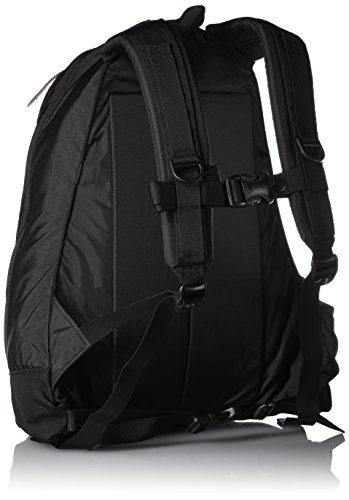 Gregory (Day Pack) official Black Backpack [Japan import]