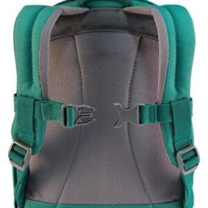 Deuter Pico Kid's Backpack for School and Hiking - Dustblue-Alpinegreen