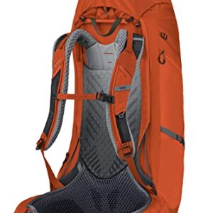 Gregory Mountain Products Paragon 68 Backpacking Backpack, Ferrous Orange, Medium/Large