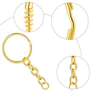 360 Pieces Keychain Rings for Crafts Including 90 Pieces Keychain Rings with 90 Pieces Open Jump Rings Connectors 180 Pieces Small Screw Eye Pins Hooks for DIY Keychain Supplies(Mixed Color,25 mm)