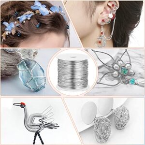 20 Gauge Stainless Steel Wire for Jewelry Making, Bailing Wire Snare Wire for Craft and Jewelry Making