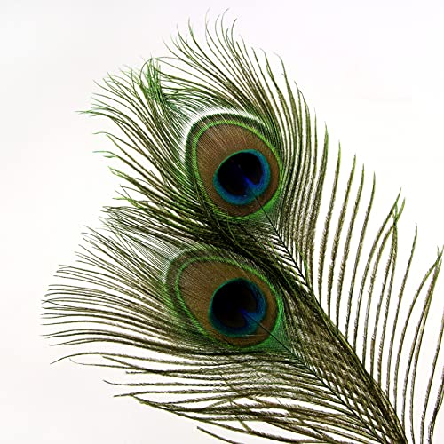 THARAHT 12pcs Peacock Feather Natural in Bulk 10-12 inch 25-30cm for Craft Vase Wedding Home Party Christmas Day Decoration Peacock Feathers