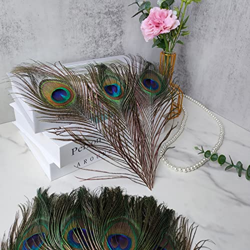 THARAHT 12pcs Peacock Feather Natural in Bulk 10-12 inch 25-30cm for Craft Vase Wedding Home Party Christmas Day Decoration Peacock Feathers