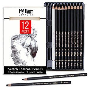 galart supplies charcoal drawing set – 12 pieces pre-sharped soft, medium, hard and white charcoal pencils for drawing with organizer tray, shading and sketching for artists and beginners