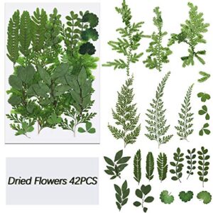 42 Pieces Dried Pressed Leaves Dried Flowers for Resin Real Assorted Dried Greenery for Pressed Leaf Art Craft DIY Embellishment Decorations, 7 Styles