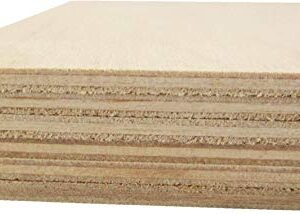 Premium Baltic Birch Plywood,3 mm 1/8"x 12"x 18" Thin Wood 6 Flat Sheets with B/BB Grade Veneer for DIY Arts and Crafts,Woodworking,Scroll Sawing Projects,Painting,Drawing,Laser Cutting Projects