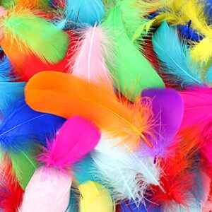 haimay 450 pieces colorful feathers for craft wedding home party decorations, 3-5 inches 10 colors craft feathers